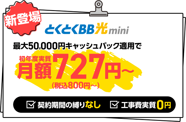 GMO とくとくBB光miniとは？メリットやデメリットを解説します